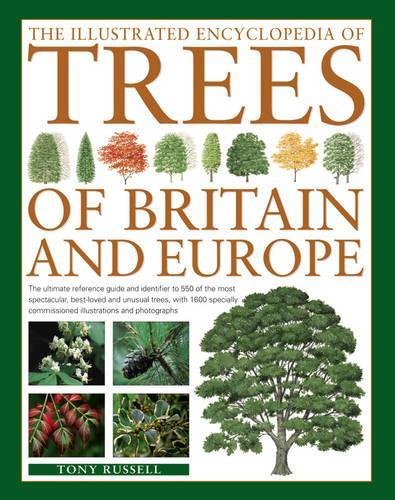 Книга «The Illustrated Encyclopedia of Trees of Britain and Europe: The ...