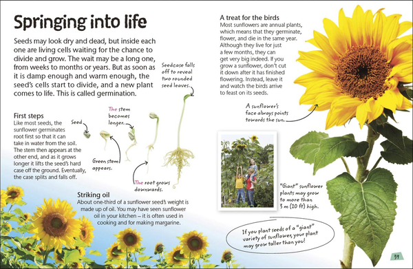 Книга «Flowers. Explore Nature with Fun Facts and Activities ...