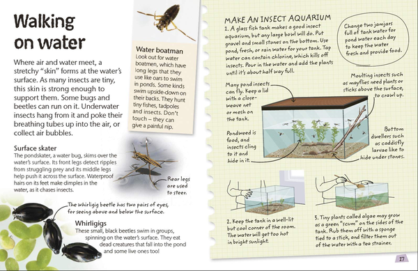 Книга «Insects and Spiders. Explore Nature with Fun Facts and ...