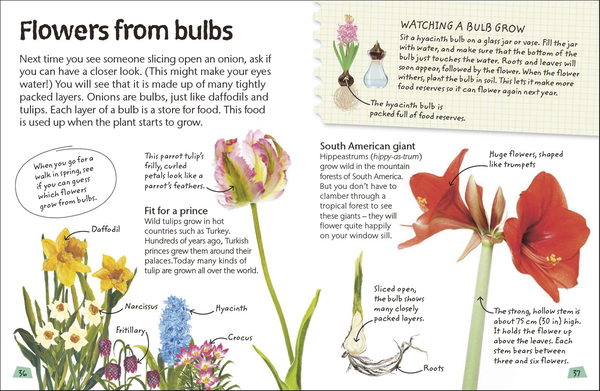 Книга «Flowers. Explore Nature with Fun Facts and Activities ...