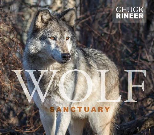 Книга «Wolf Sanctuary: The Wolves of Speedwell Forge» – Чак Райнер ...