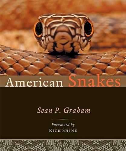 Книга «American Snakes» – Шон П. Грэм, купить по цене 0 на YAKABOO: 9781421423593