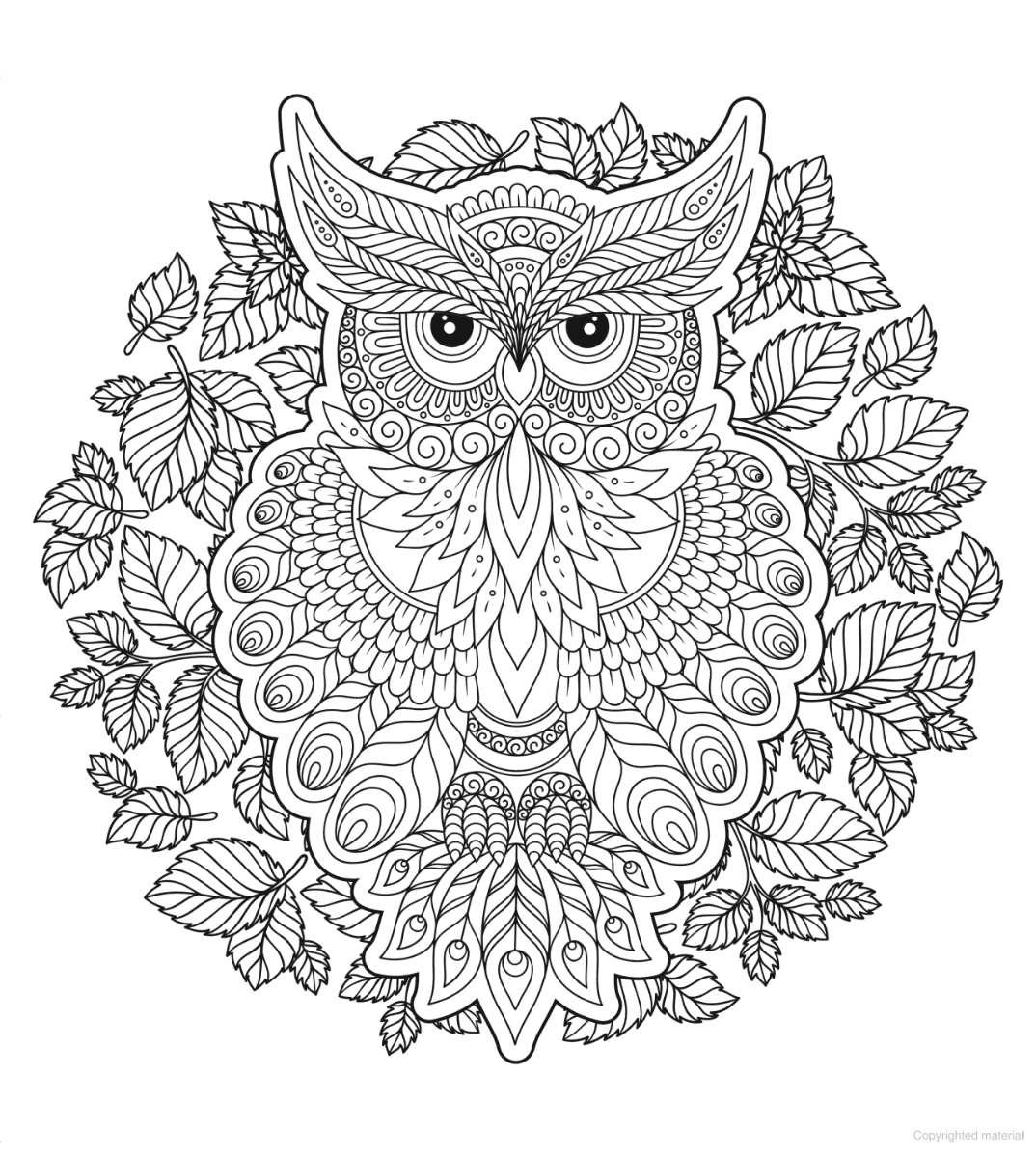Книга «Forestcore Coloring Book. Embrace the Earthy, the Rustic, and ...
